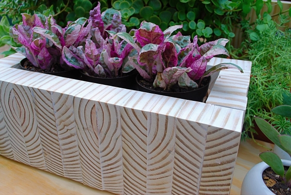 Weekend Project: DIY Staggered End-Grain Perennial Planter – Craft Gossip